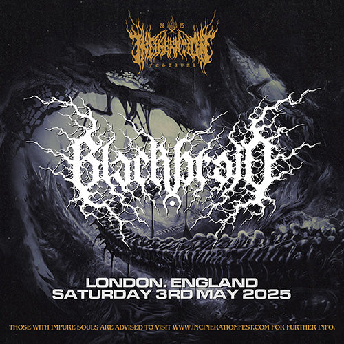 Shows – Blackbraid US